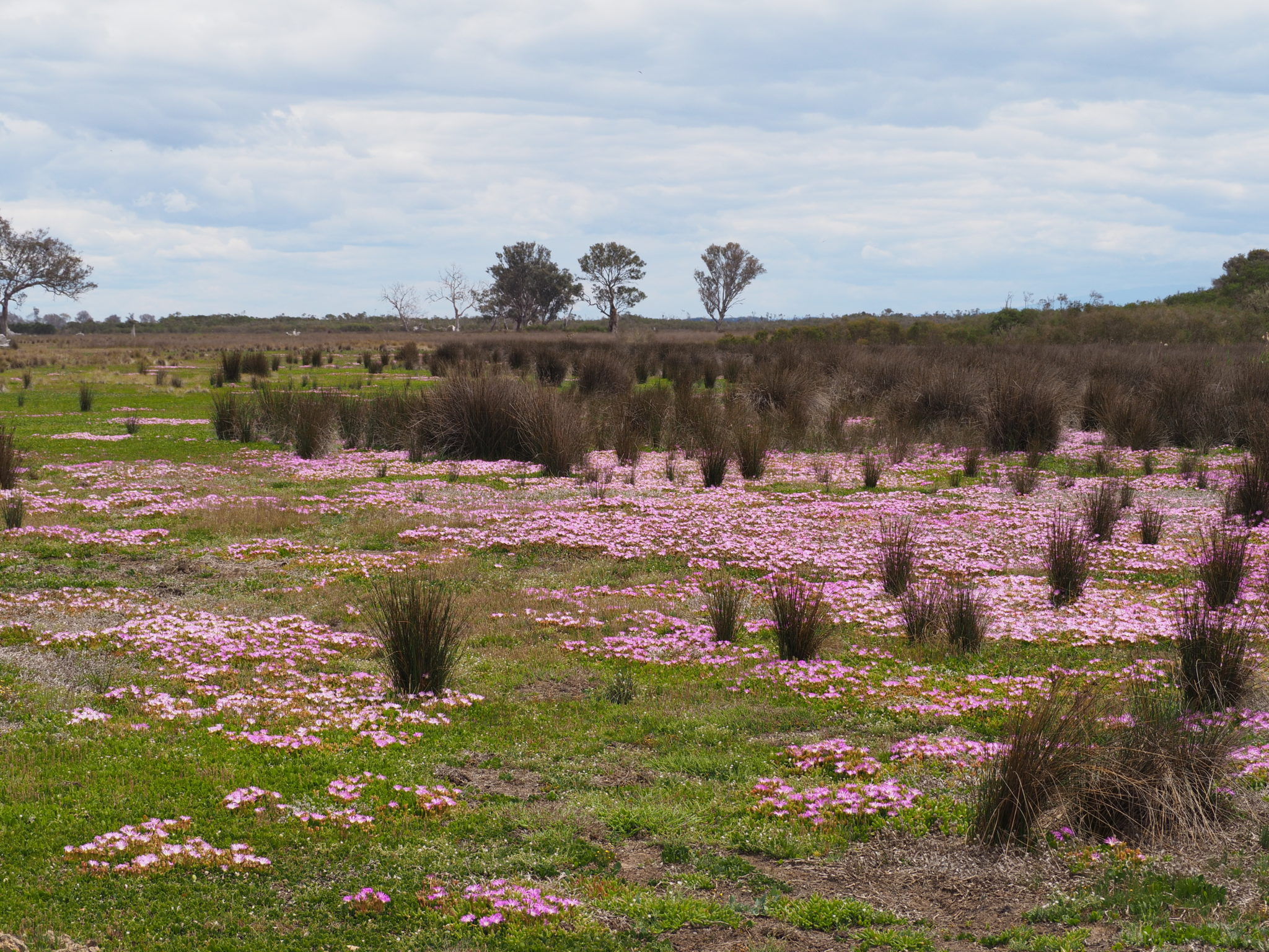 Water | West Gippsland Regional Catchment Strategy